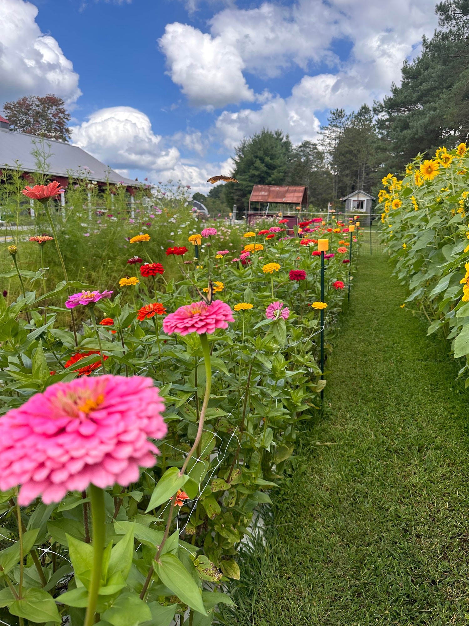 Fonta Flora Flower Co.