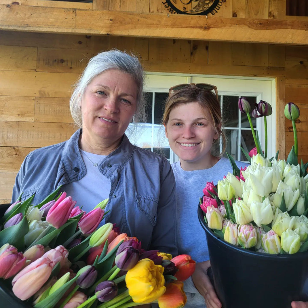 Get to know Fonta Flora! – Fonta Flora Flower Co.